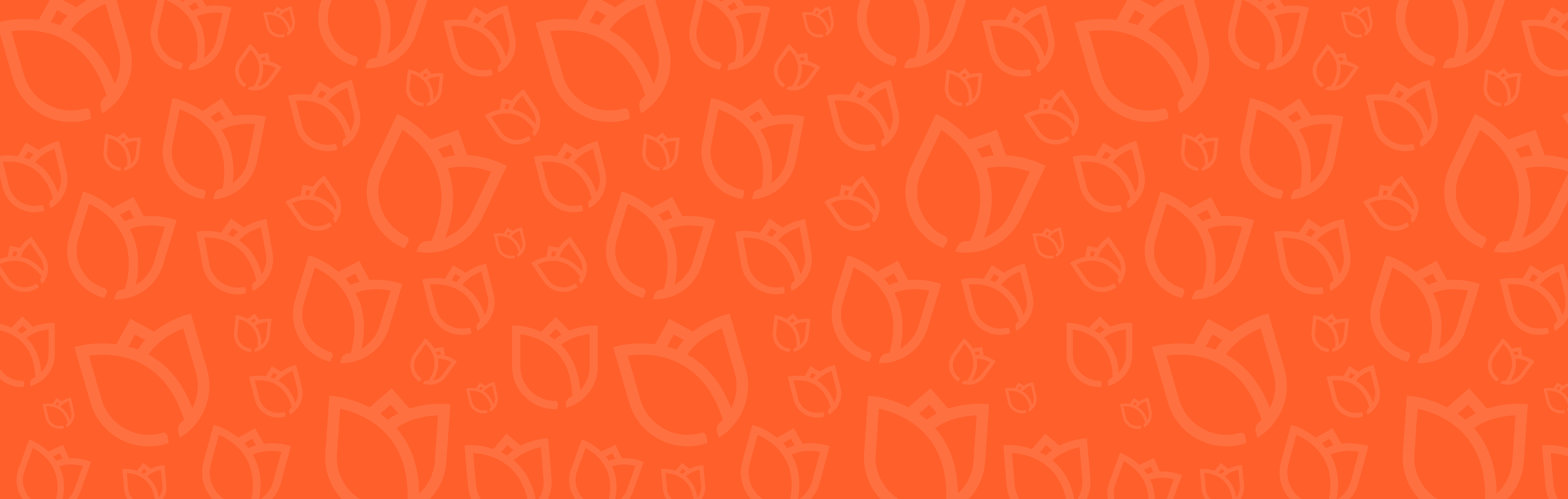 Tulip Festival Events Calendar | Tulip Valley Farms